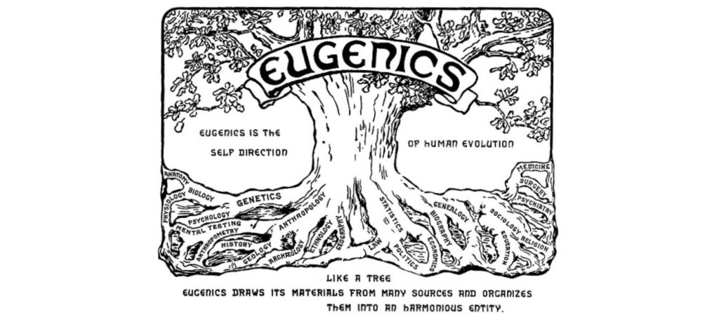 Eugenics Tree - source for this famous image - Professor Joe Cain