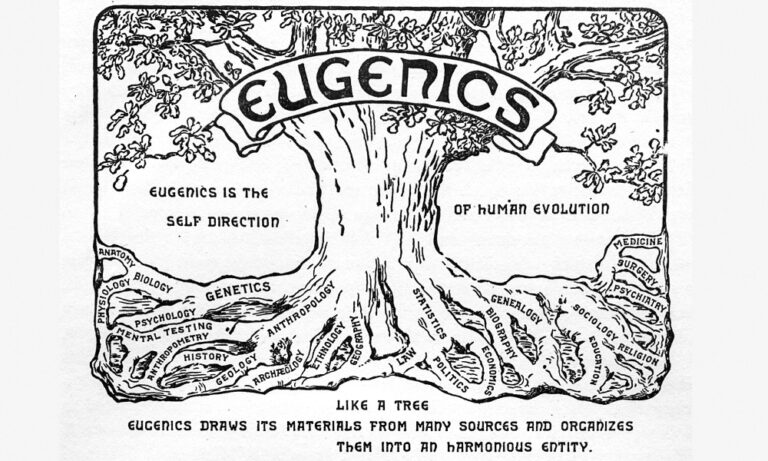 Famous Eugenics Tree Image Source Located | Professor Joe Cain